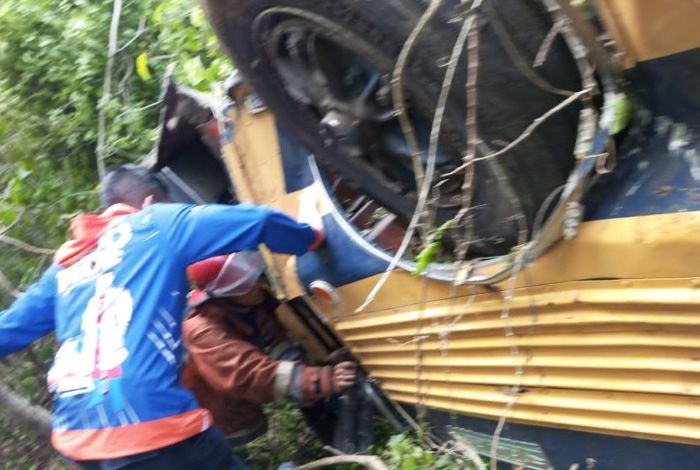 Video Cinco Muertos Y Más De 30 Heridos Dejó Accidente De Autobús Que